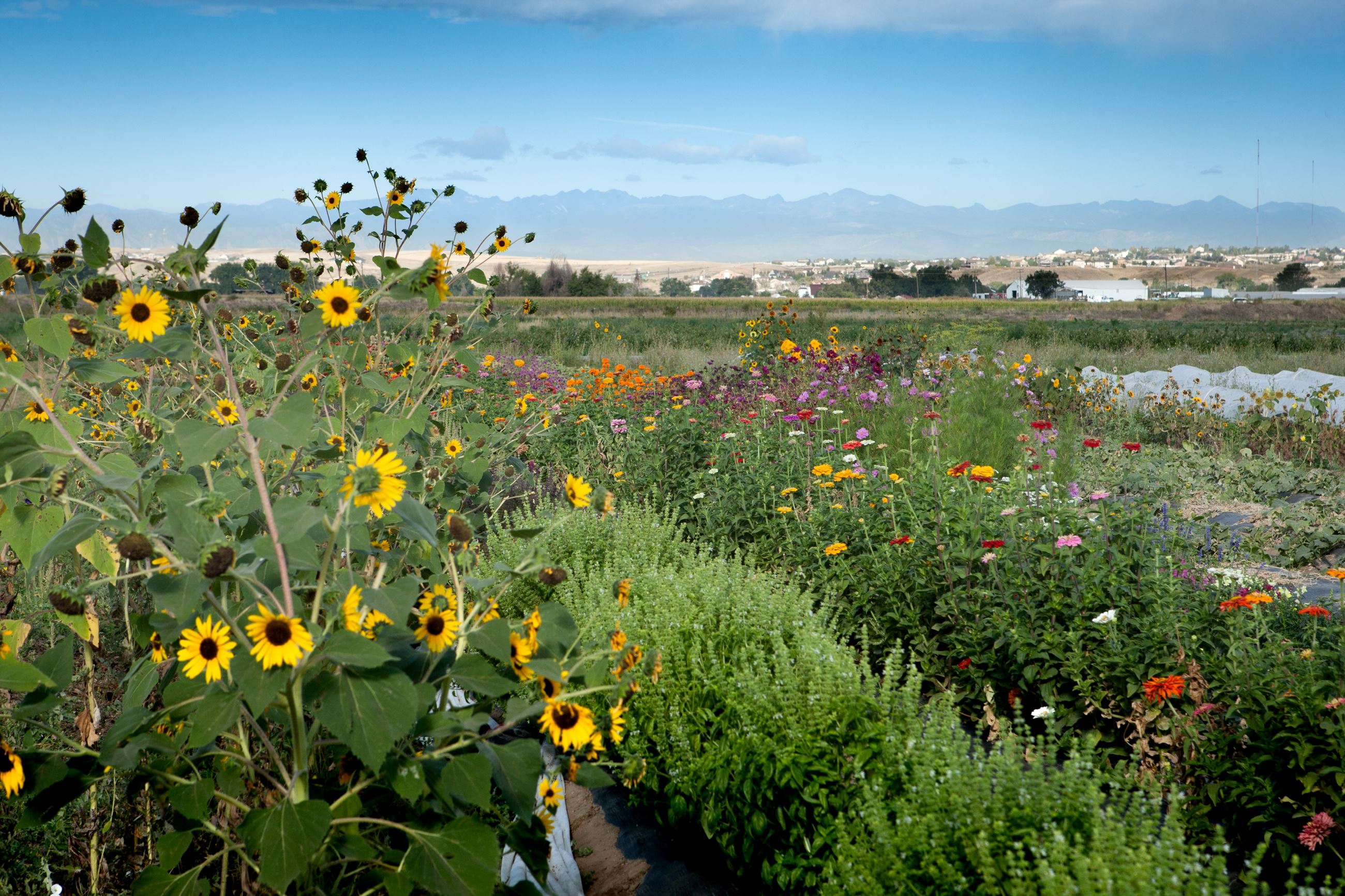 79 acres of significant farmland and water preserved in Historic ...