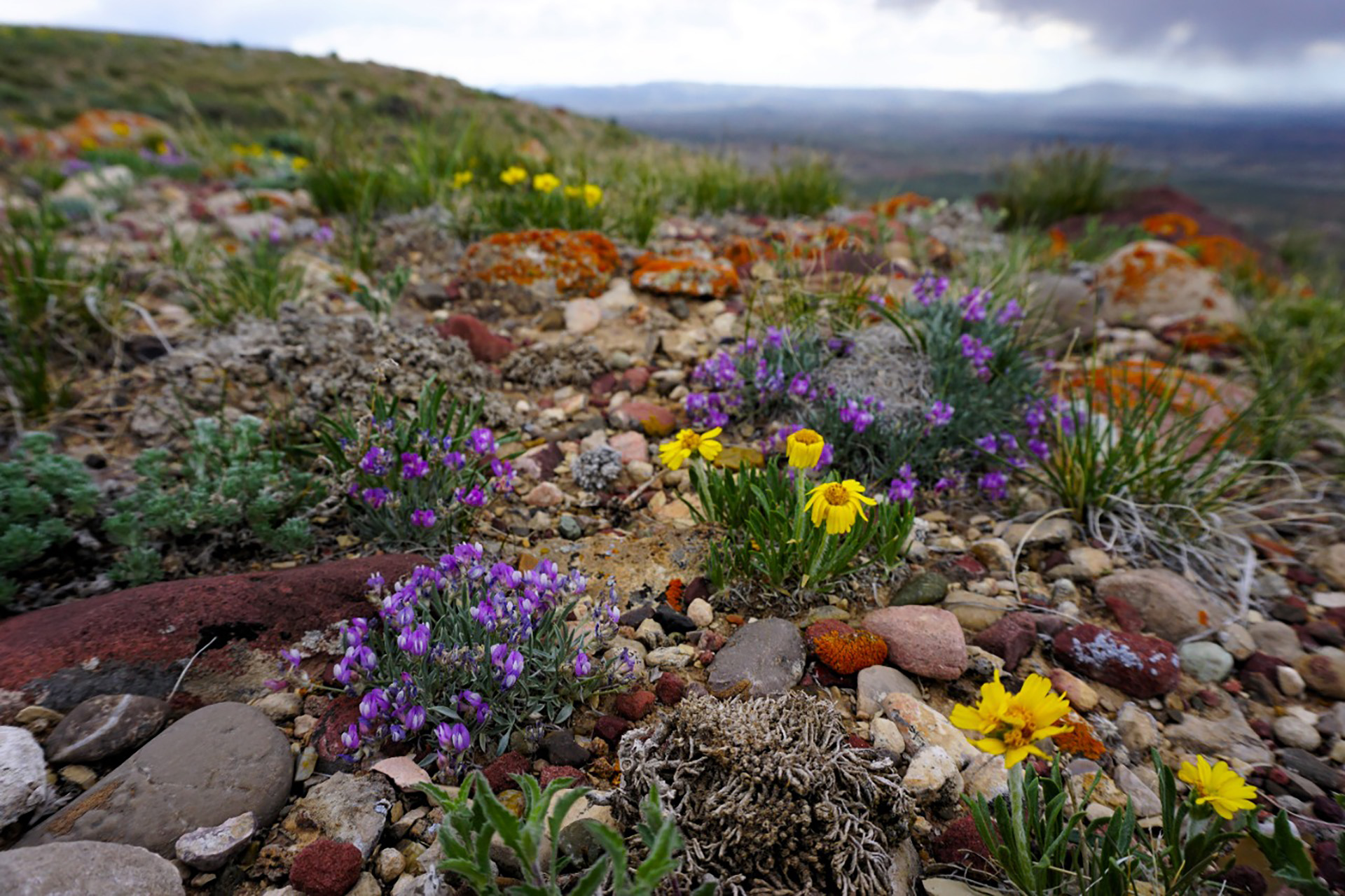 Colorado Natural Heritage Program receives $7.8 million for ...